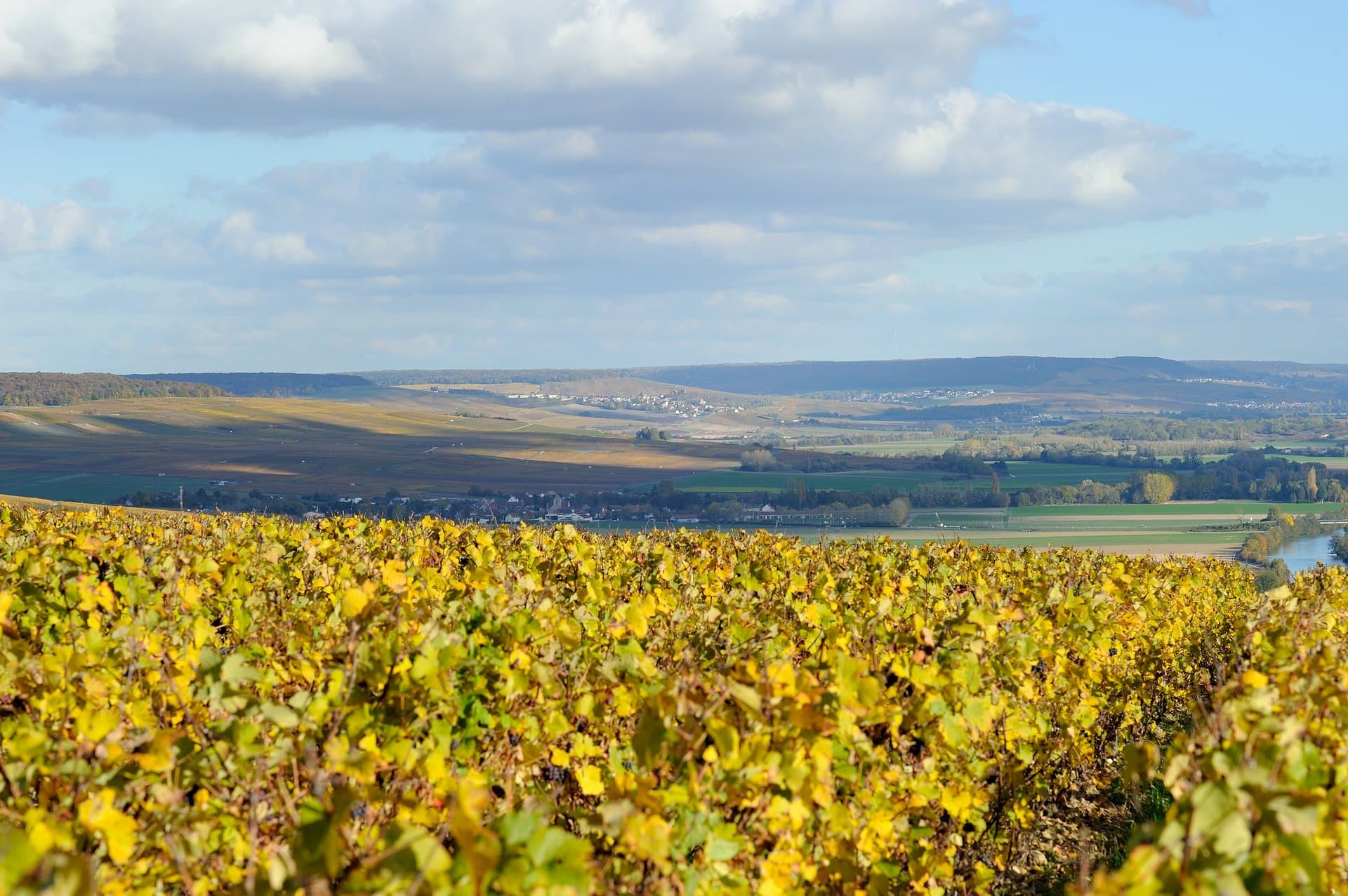La famille - Champagne Leclerc-Mondet